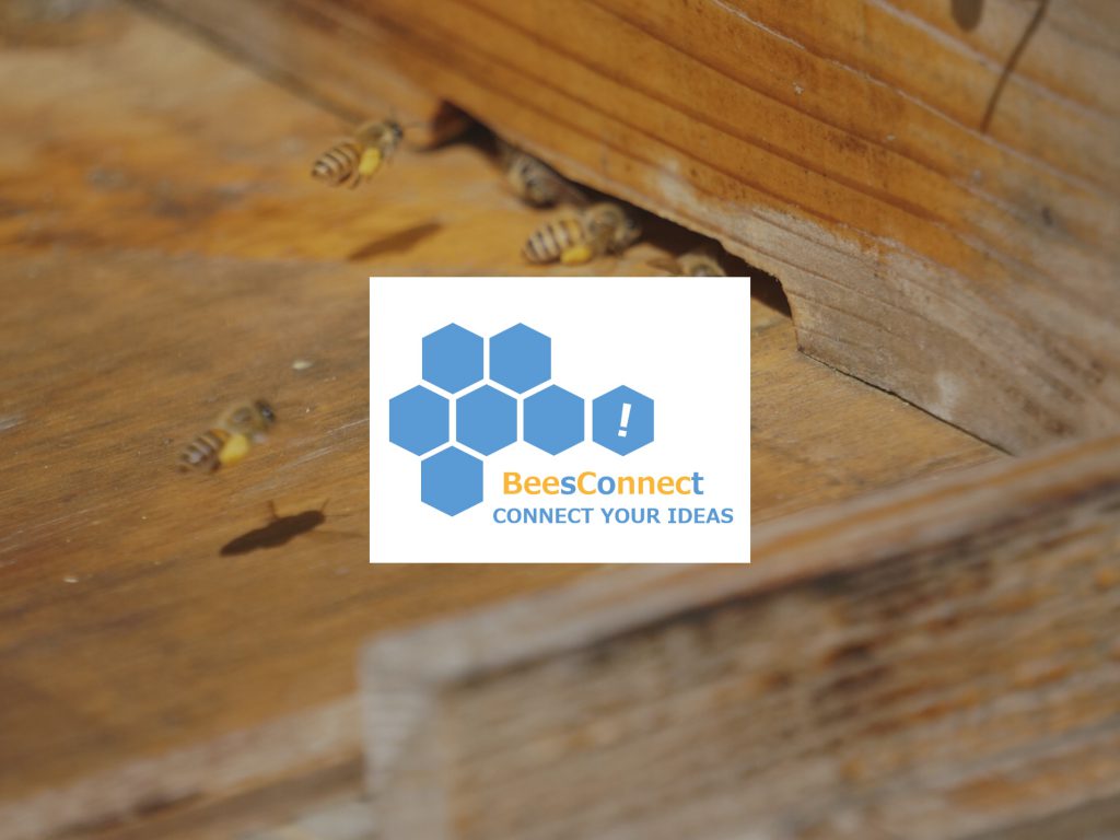 2019年 春 BeesConnectは2年目をスタートしました | BeesConnect（ビーズコネクト）